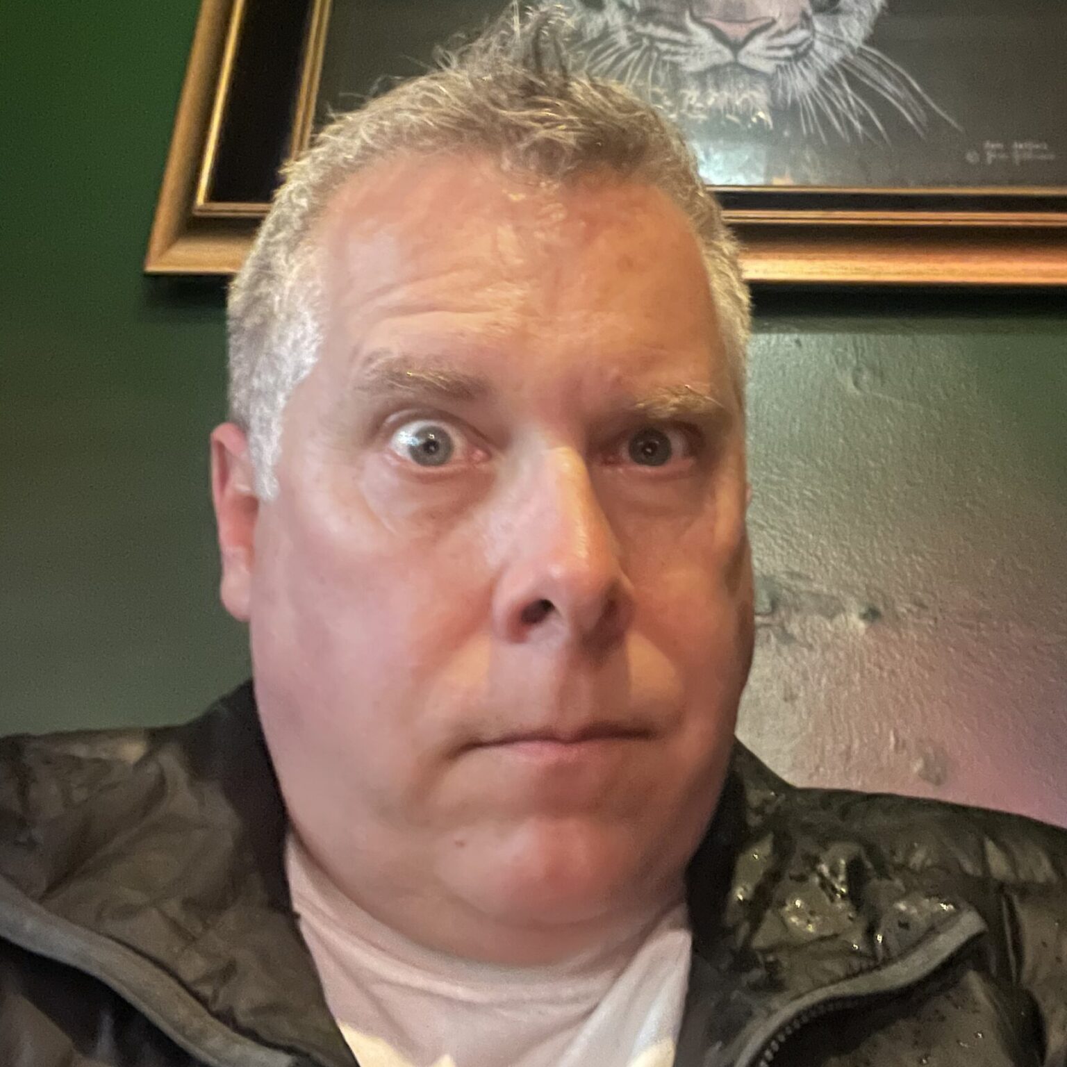 Scott Reynolds – Midsummer Scream